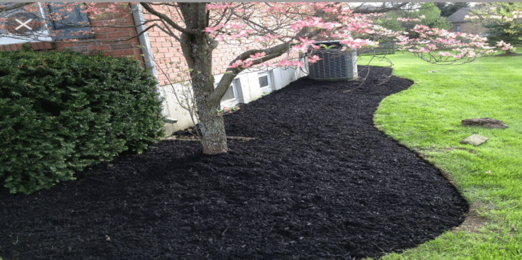 Best Black Rocks Landscaping Ideas to Create a Dreamy Look - Amenity Home