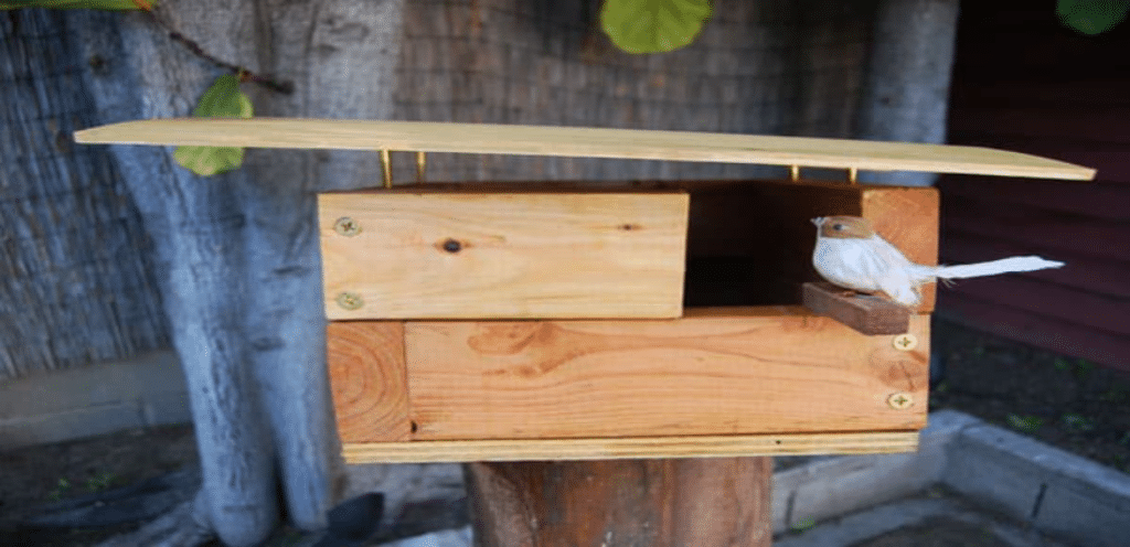 11 Inexpensive DIY Birdhouse Plans to Brighten up Your Garden - Amenity ...