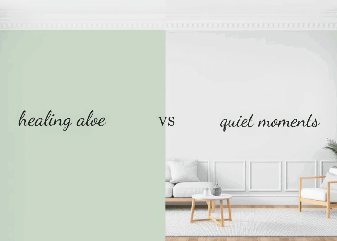 Healing Aloe Benjamin Moore (1562): A Paint Review - Amenity Home