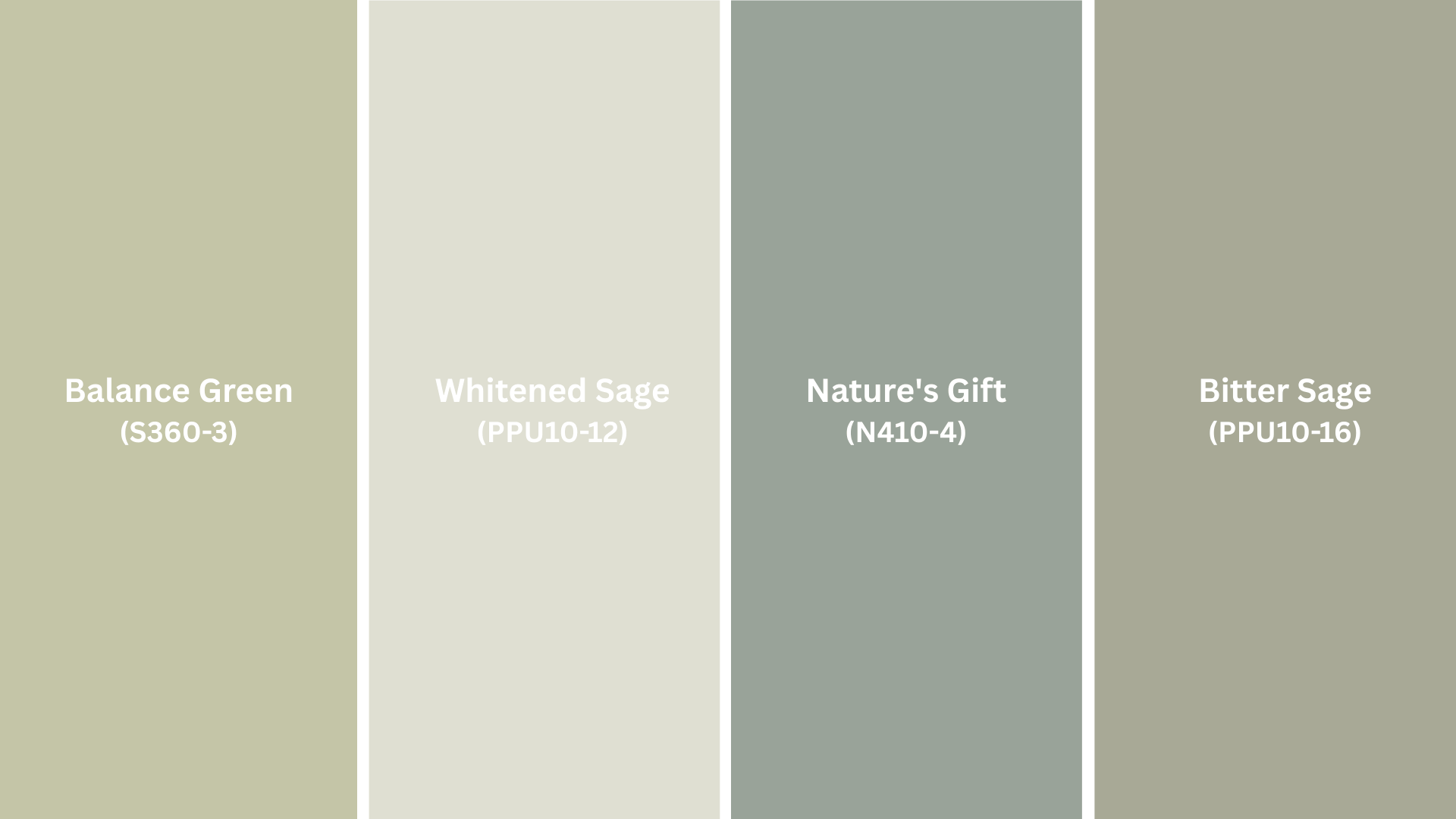 Best Sage Green Paint Colors (Top Picks) - Amenity Home