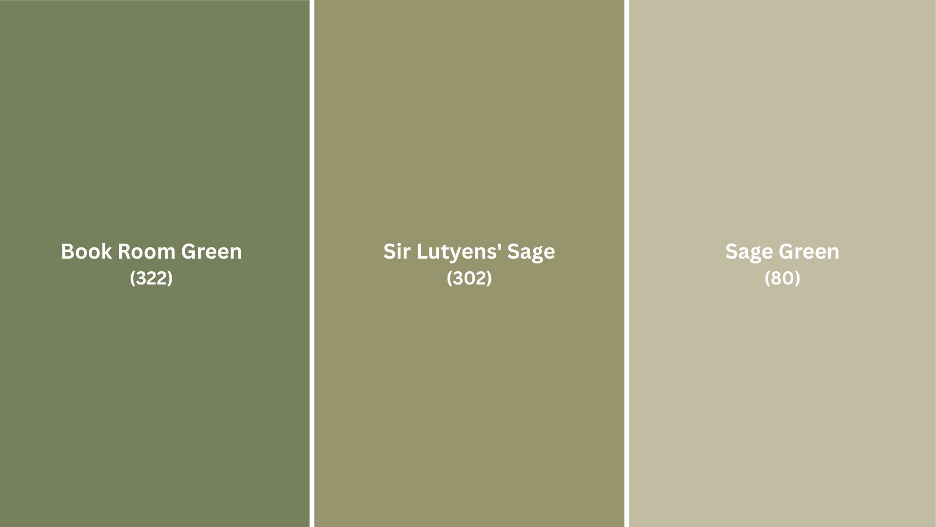 Best Sage Green Paint Colors (Top Picks) - Amenity Home
